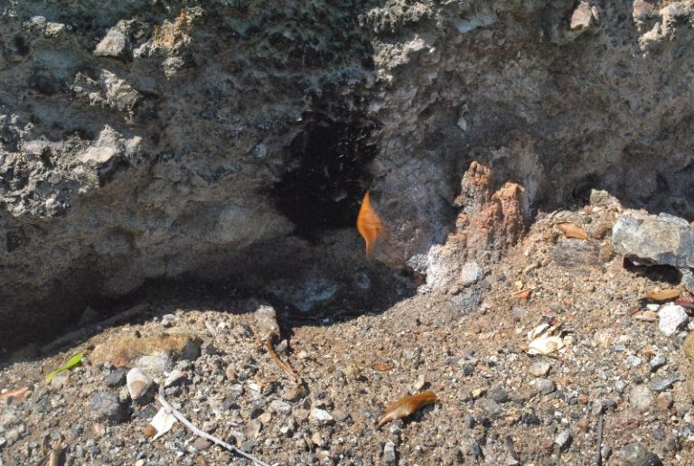 5 Wisata Api Abadi di Indonesia Yang Wajib Dikunjungi - Tays Bakers